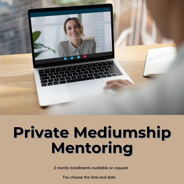 Private 1-1 Mentoring